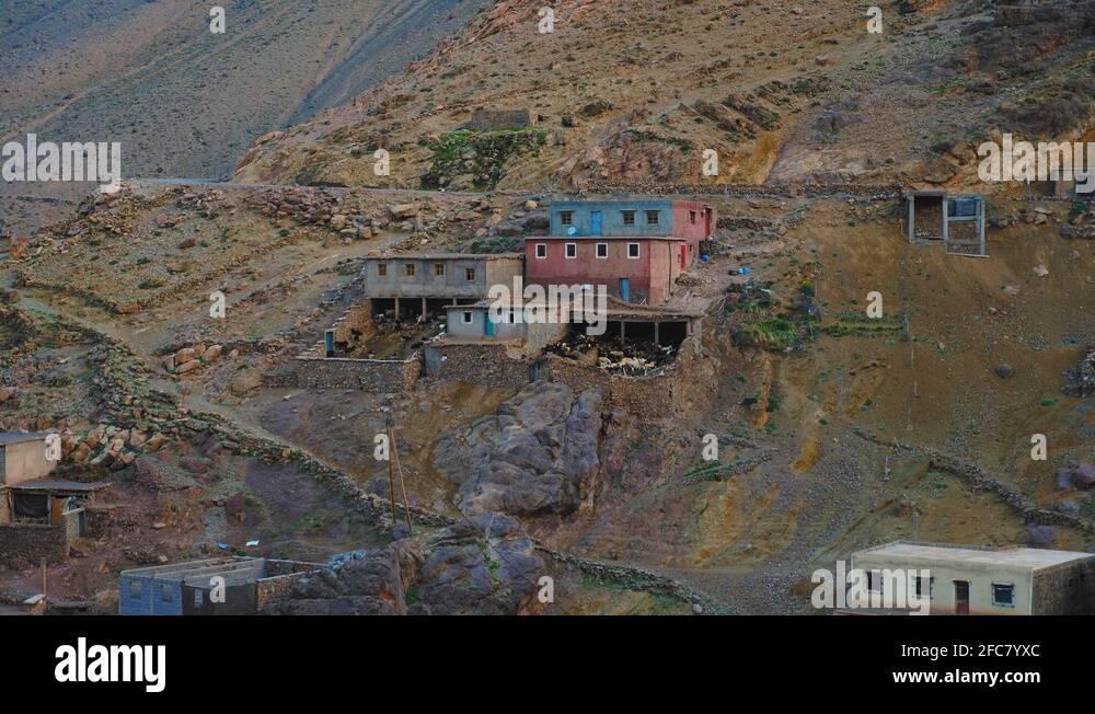 Moroccan birds Stock Videos & Footage - HD and 4K Video Clips - Alamy