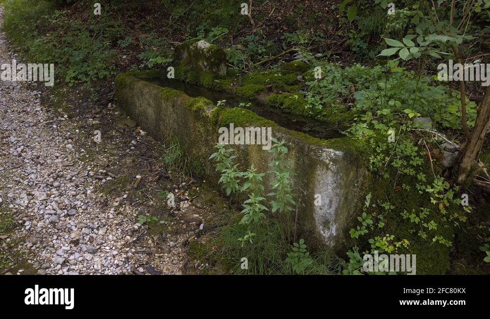 Concrete water basin Stock Videos & Footage - HD and 4K Video Clips - Alamy