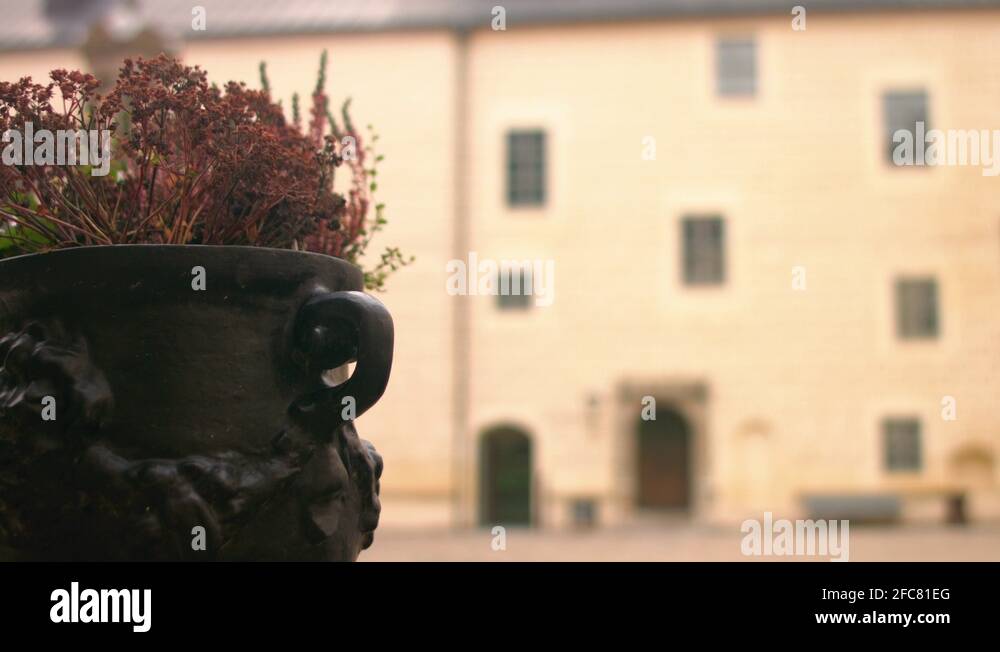 Heather castle Stock Videos & Footage - HD and 4K Video Clips - Alamy