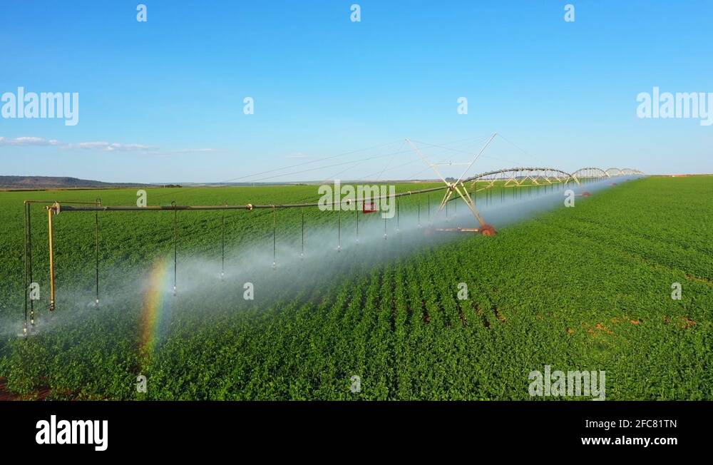 Center central pivot irrigation Stock Videos & Footage - HD and 4K ...