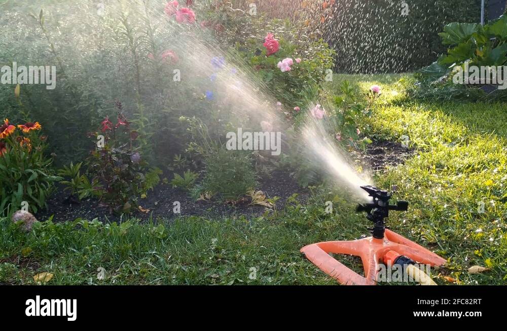 Orange sprinkler Stock Videos & Footage - HD and 4K Video Clips - Alamy