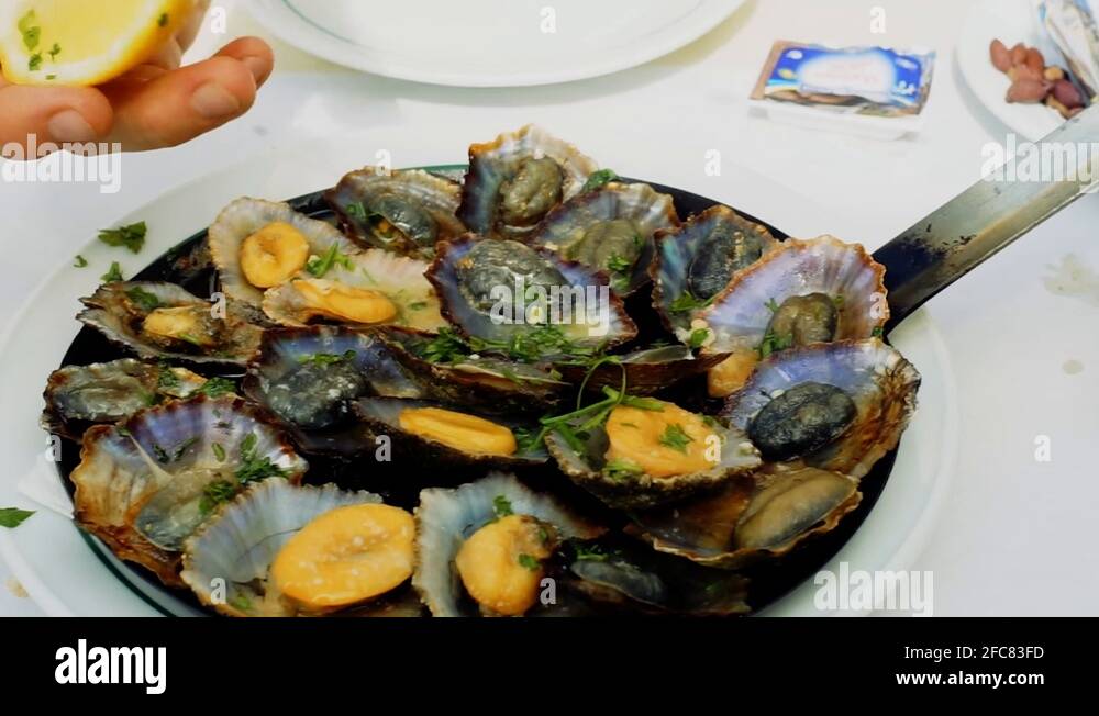 Limpets Stock Videos & Footage - HD and 4K Video Clips - Alamy