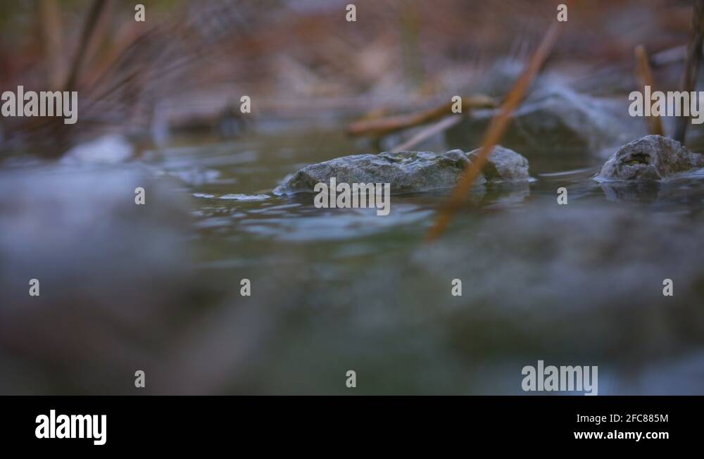 Rain puddle rock Stock Videos & Footage - HD and 4K Video Clips - Alamy