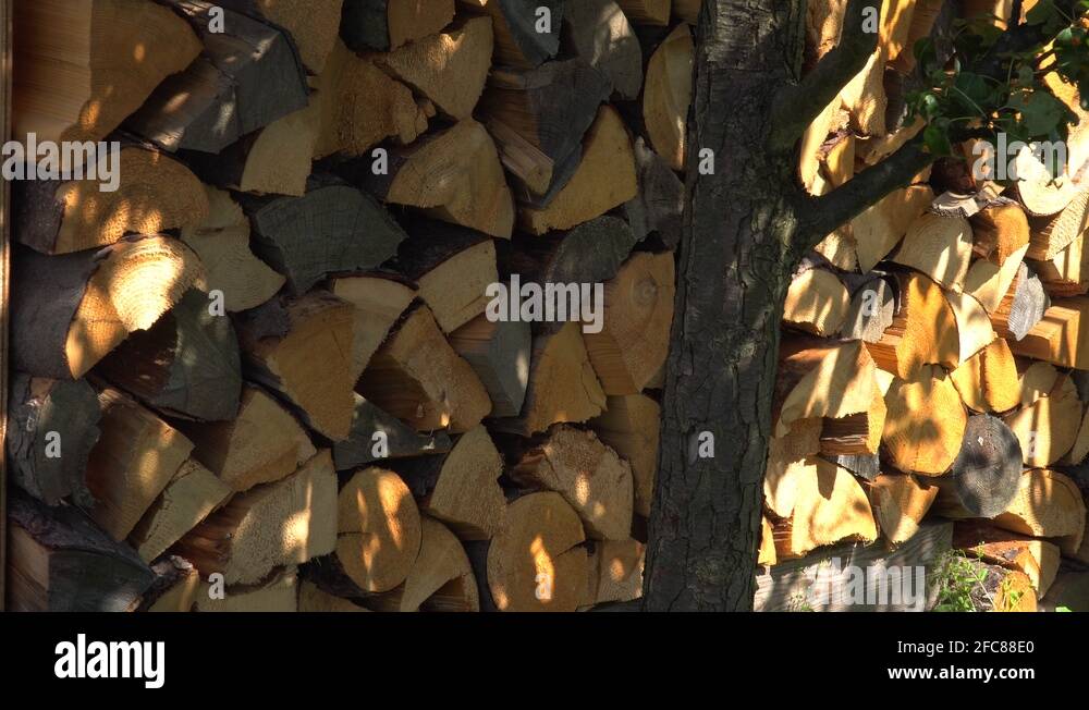Chopped and stacked firewood Stock Videos & Footage - HD and 4K Video ...