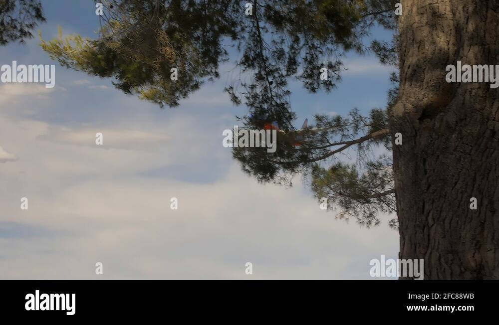 Final destination plane Stock Videos & Footage - HD and 4K Video Clips ...