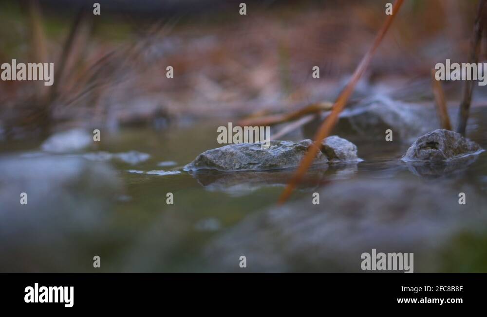 Smallrock Stock Videos & Footage - HD and 4K Video Clips - Alamy