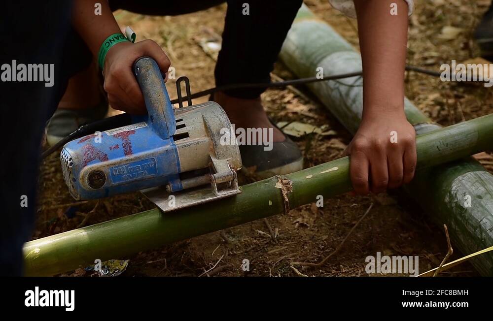 Bamboo cutter Stock Videos & Footage - HD and 4K Video Clips - Alamy