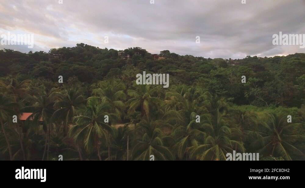 Costa rican beaches Stock Videos & Footage - HD and 4K Video Clips - Alamy