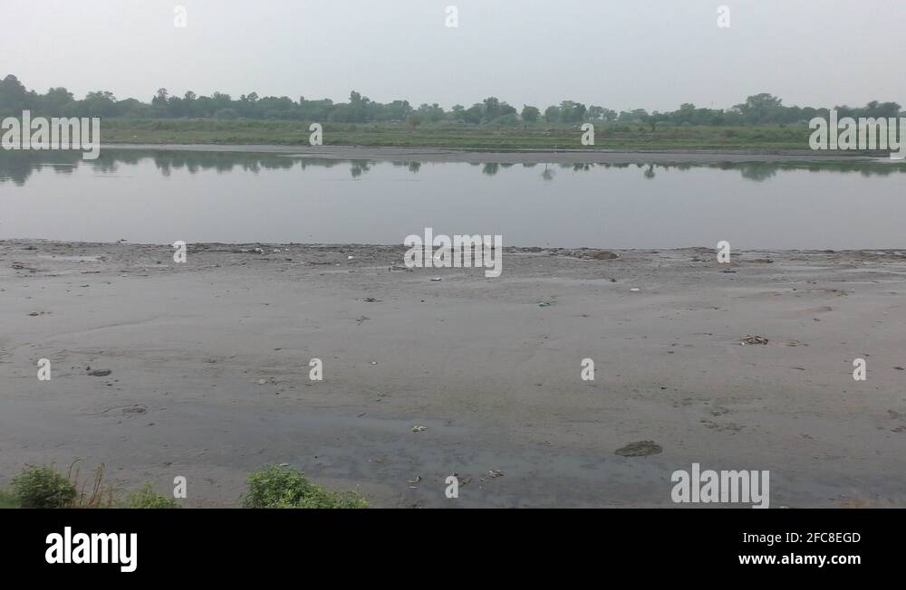Polluted river yamuna Stock Videos & Footage - HD and 4K Video Clips ...