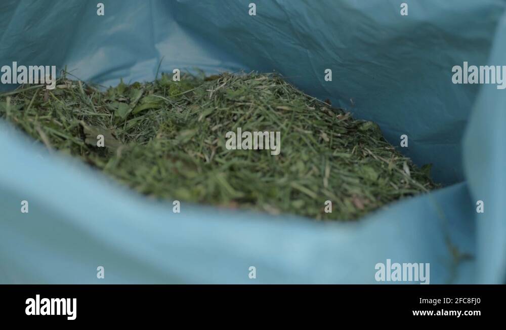 Grass sack Stock Videos & Footage - HD and 4K Video Clips - Alamy