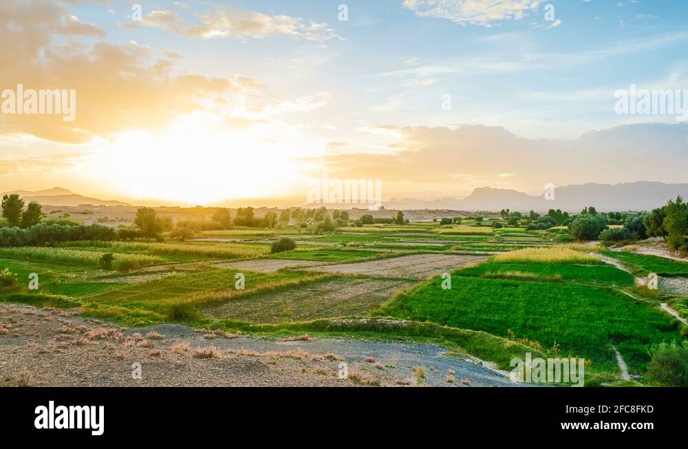 Rich morocco Stock Videos & Footage - HD and 4K Video Clips - Alamy