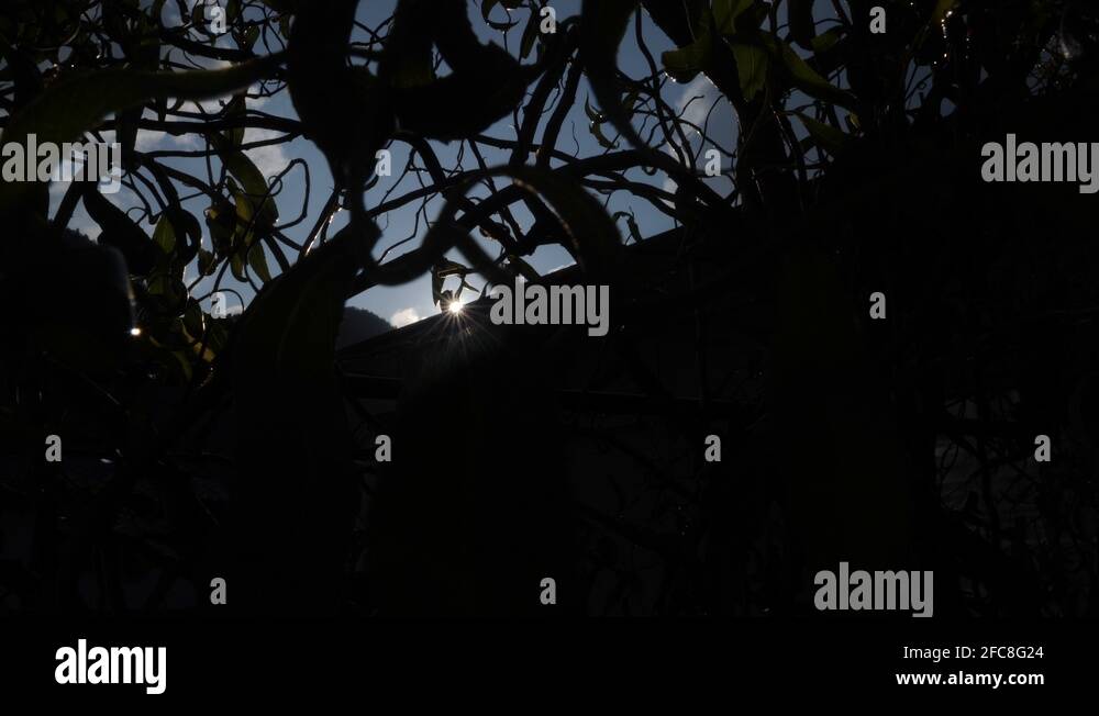 Tangled maze Stock Videos & Footage - HD and 4K Video Clips - Alamy