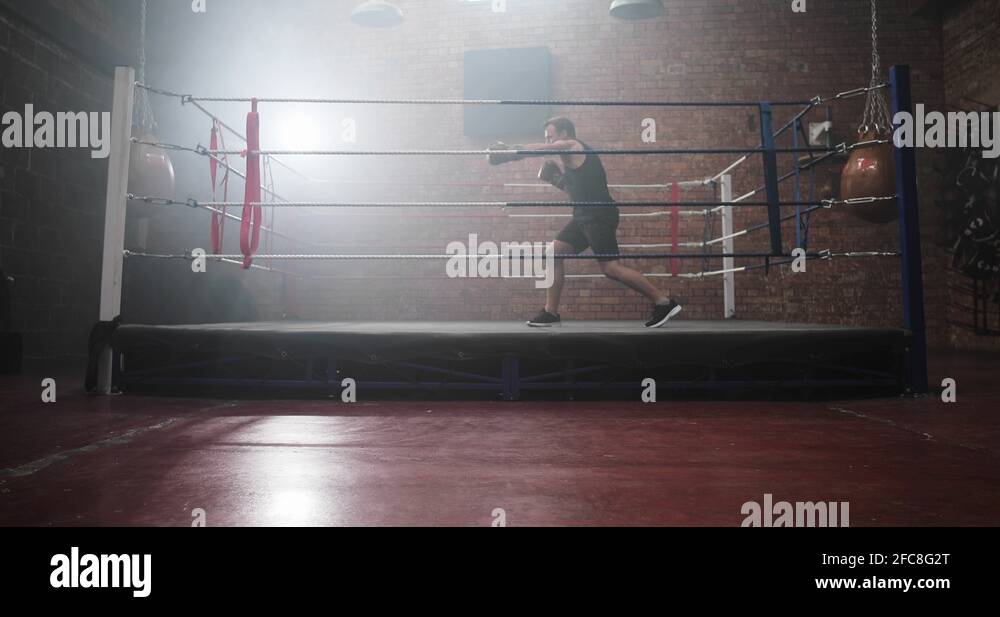 Adult male boxer Stock Videos & Footage - HD and 4K Video Clips - Alamy
