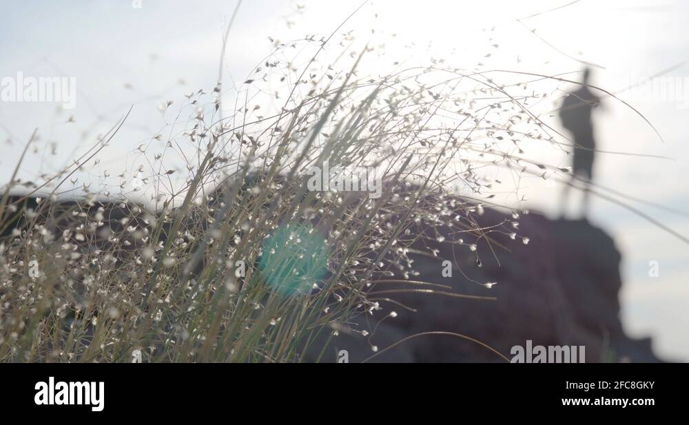 Out of focus person Stock Videos & Footage - HD and 4K Video Clips - Alamy