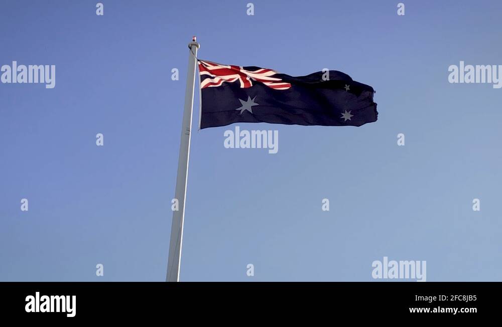Aussie emblem Stock Videos & Footage - HD and 4K Video Clips - Alamy