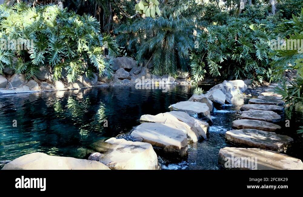 Pond pathway Stock Videos & Footage - HD and 4K Video Clips - Alamy