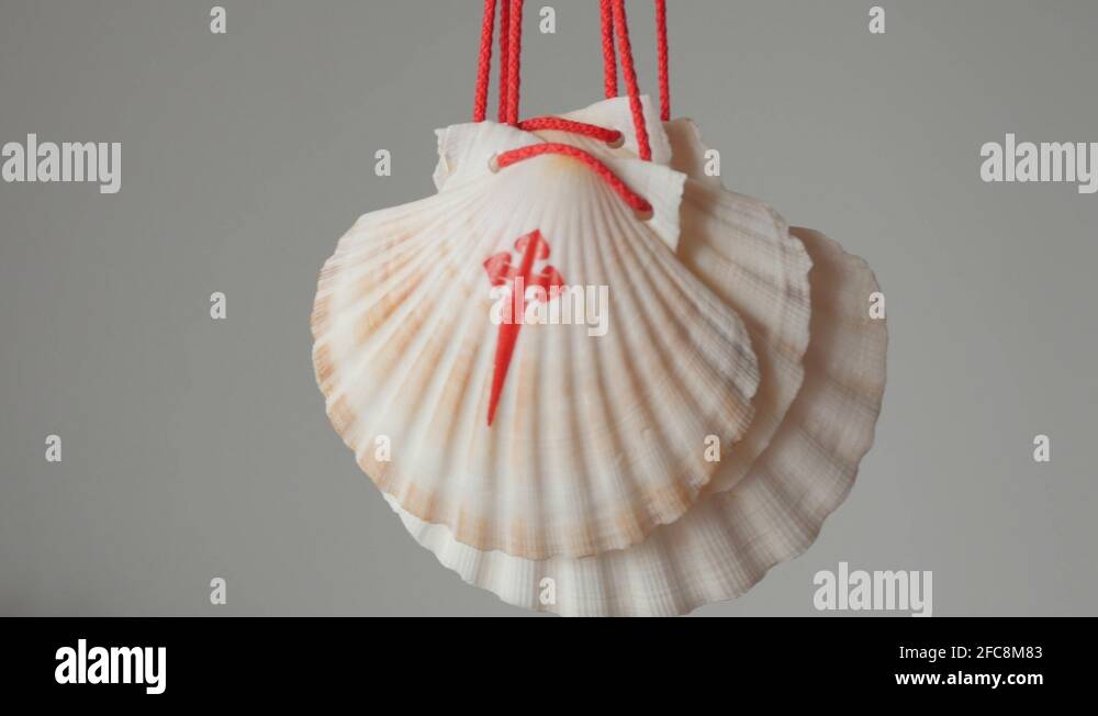 St james shells Stock Videos & Footage - HD and 4K Video Clips - Alamy