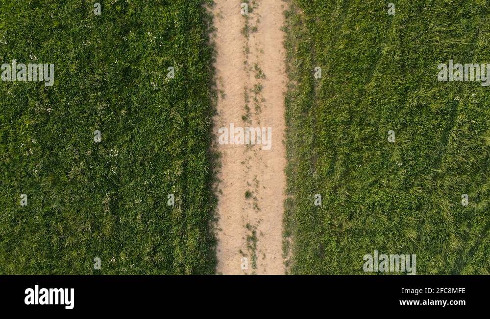Dusty bird Stock Videos & Footage - HD and 4K Video Clips - Alamy