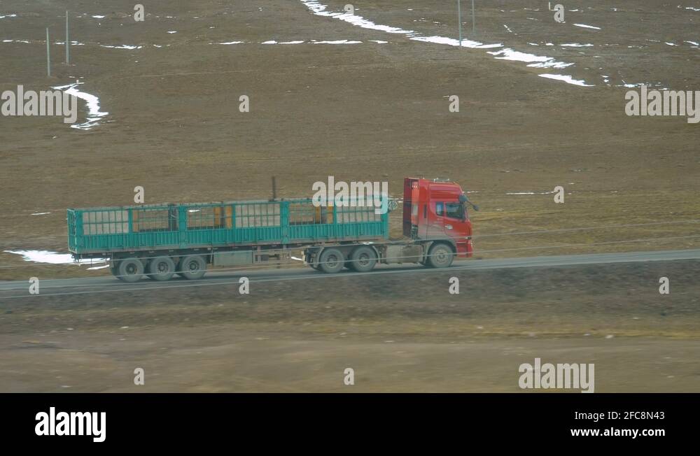 Transporting cattle Stock Videos & Footage - HD and 4K Video Clips - Alamy
