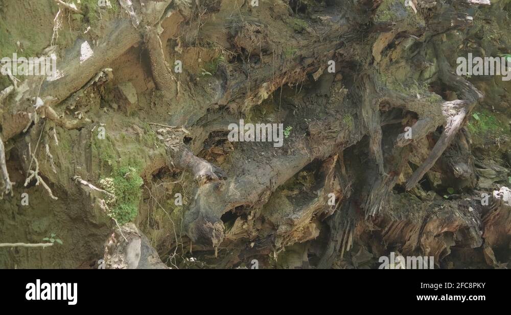 Overturned Stock Videos & Footage - HD and 4K Video Clips - Alamy