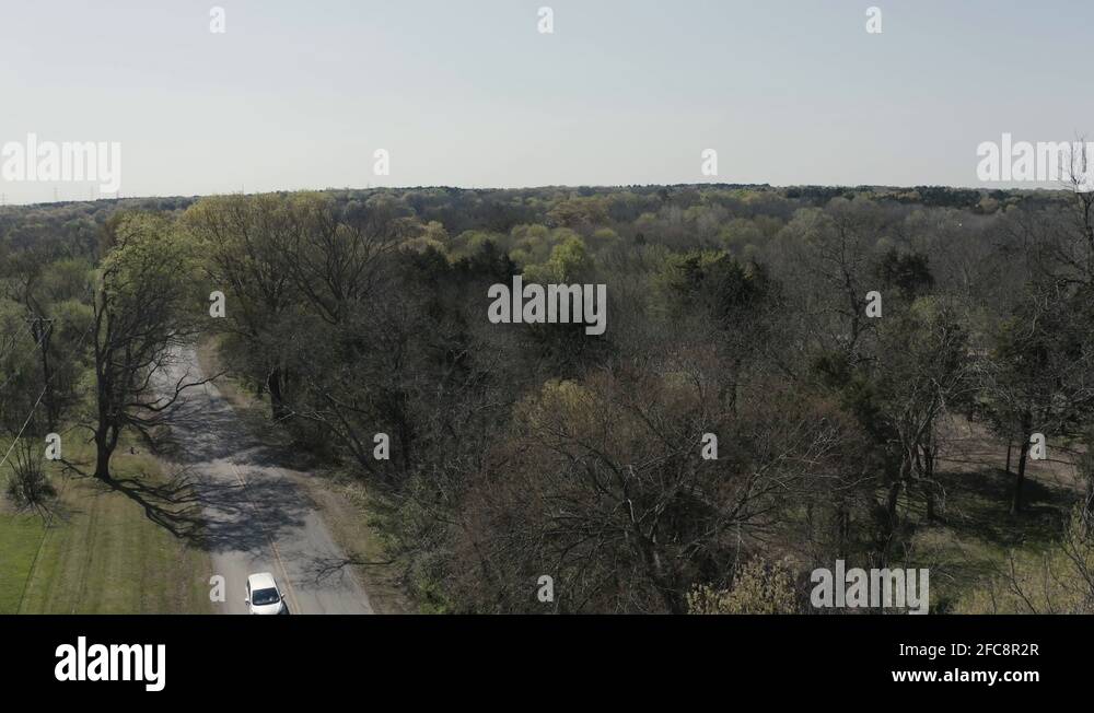 Van trees Stock Videos & Footage - HD and 4K Video Clips - Alamy