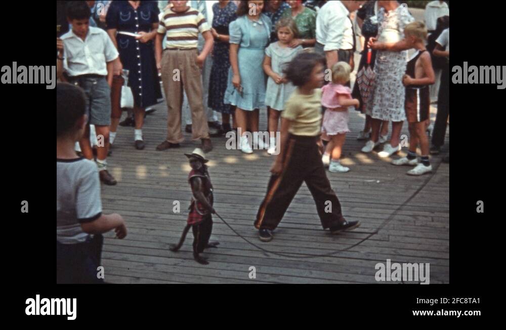 Monkey lady Stock Videos & Footage - HD and 4K Video Clips - Alamy