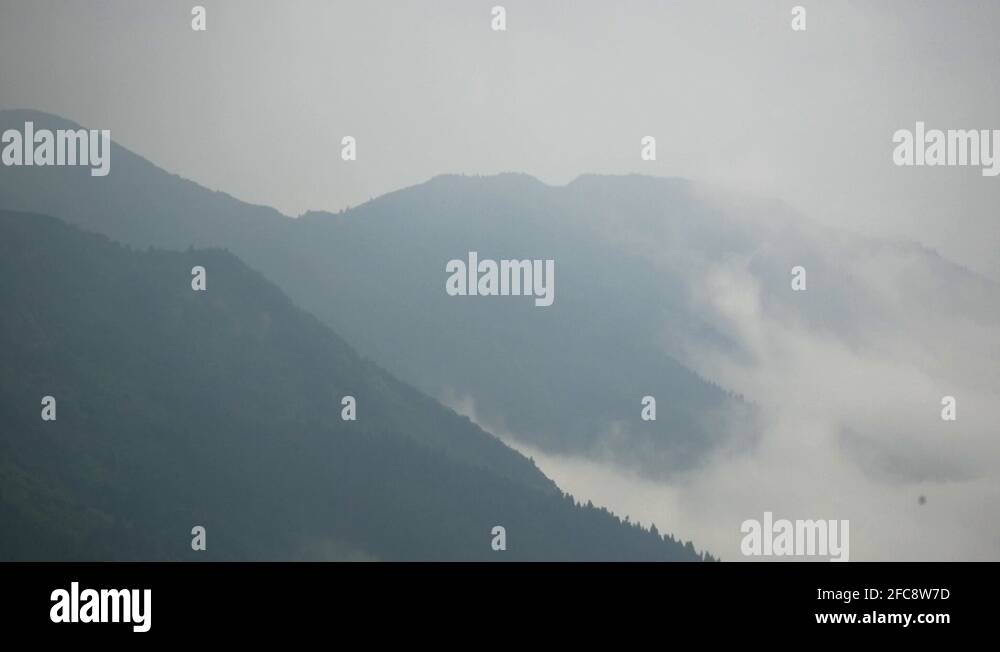 Do not fill above the line Stock Videos & Footage - HD and 4K Video ...