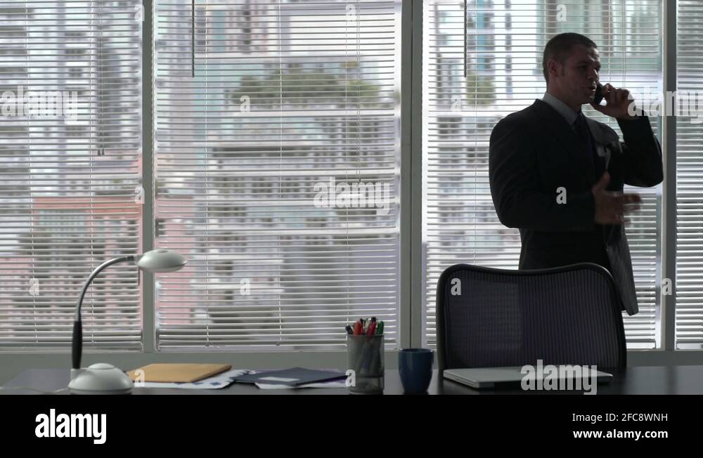 Phone call silhouette Stock Videos & Footage - HD and 4K Video Clips ...