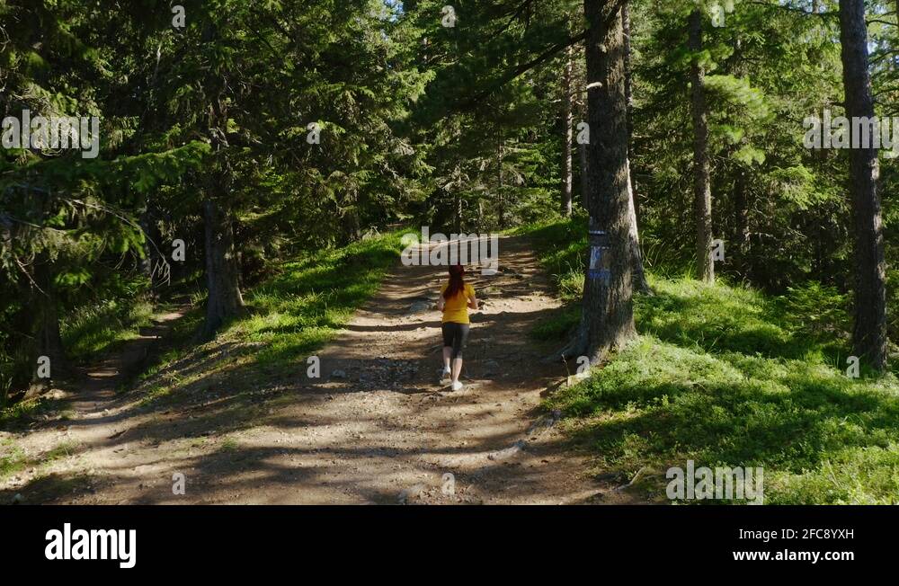 Tracking drone camera of woman running jogging in the mountain wood, 4k ...