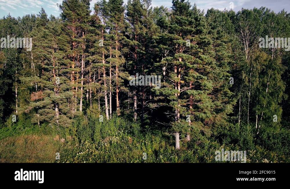 Growing in a circle Stock Videos & Footage - HD and 4K Video Clips - Alamy