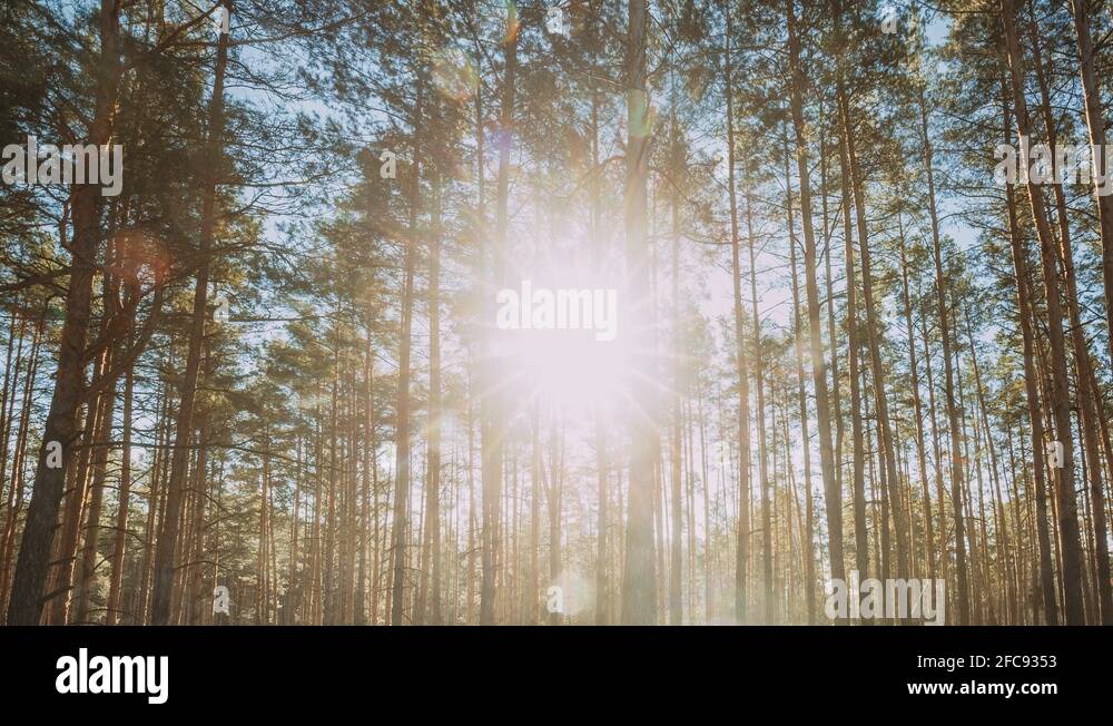 Early sunshine sun Stock Videos & Footage - HD and 4K Video Clips - Alamy