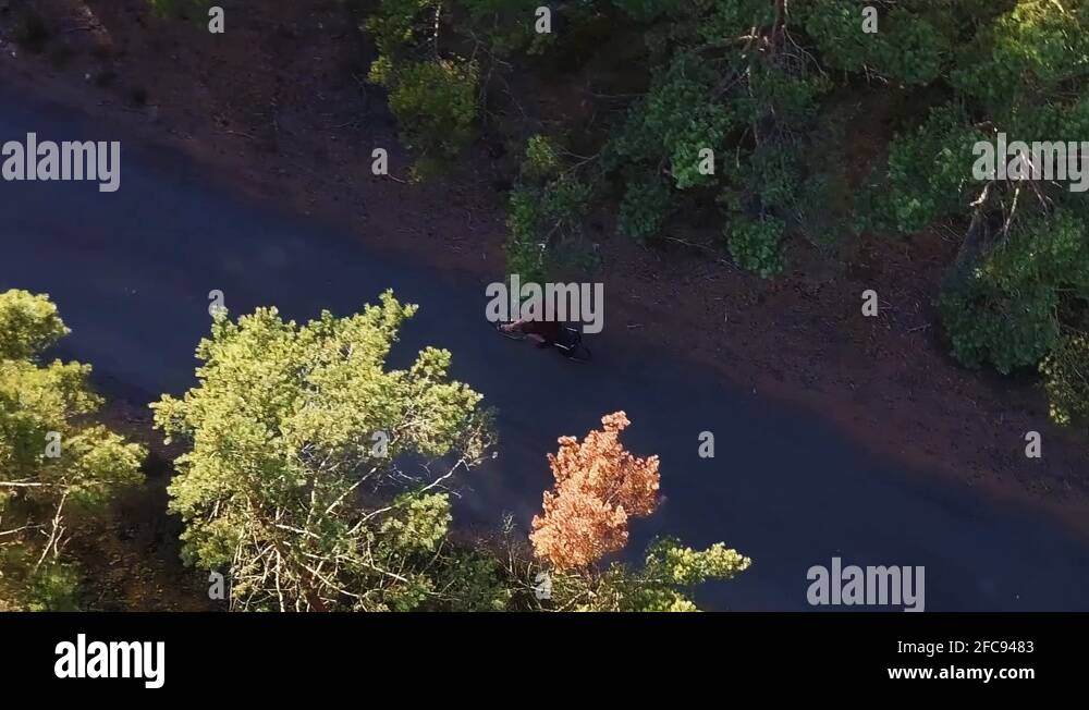 Bike ride aerial Stock Videos & Footage - HD and 4K Video Clips - Alamy