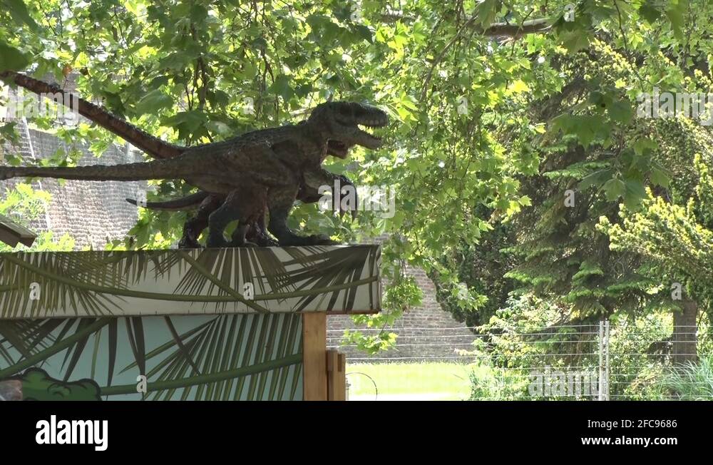 Small dinosaurs Stock Videos & Footage - HD and 4K Video Clips - Alamy