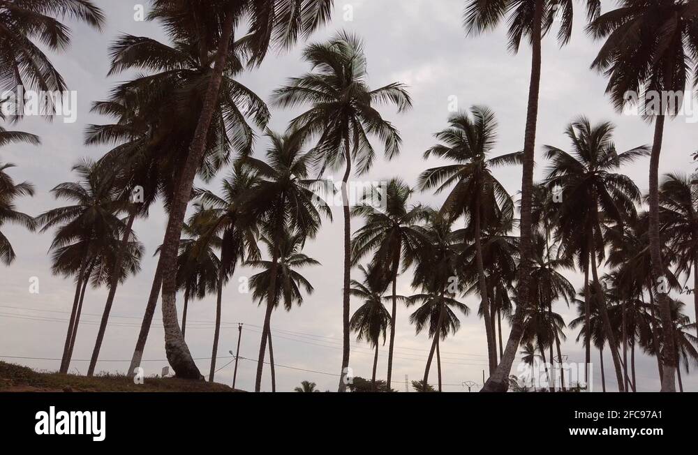 Plage de Kribi au Cameroun / Kribi Beach in Cameroon Stock Video ...