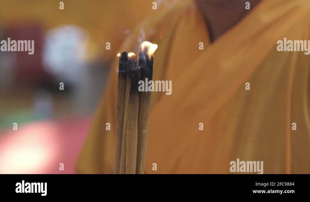 Burning monk vietnam Stock Videos & Footage - HD and 4K Video Clips - Alamy