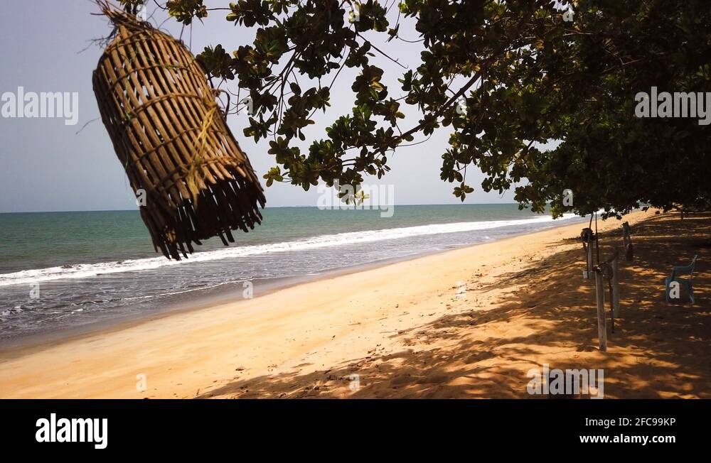 Oiseau mer Stock Videos & Footage - HD and 4K Video Clips - Alamy