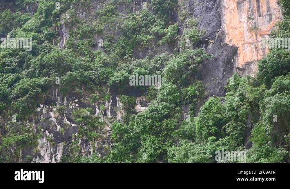 Cliff vegetation Stock Videos & Footage - HD and 4K Video Clips - Alamy