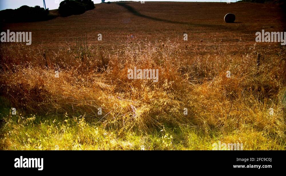 Shadow of a wind turbine Stock Videos & Footage - HD and 4K Video Clips ...