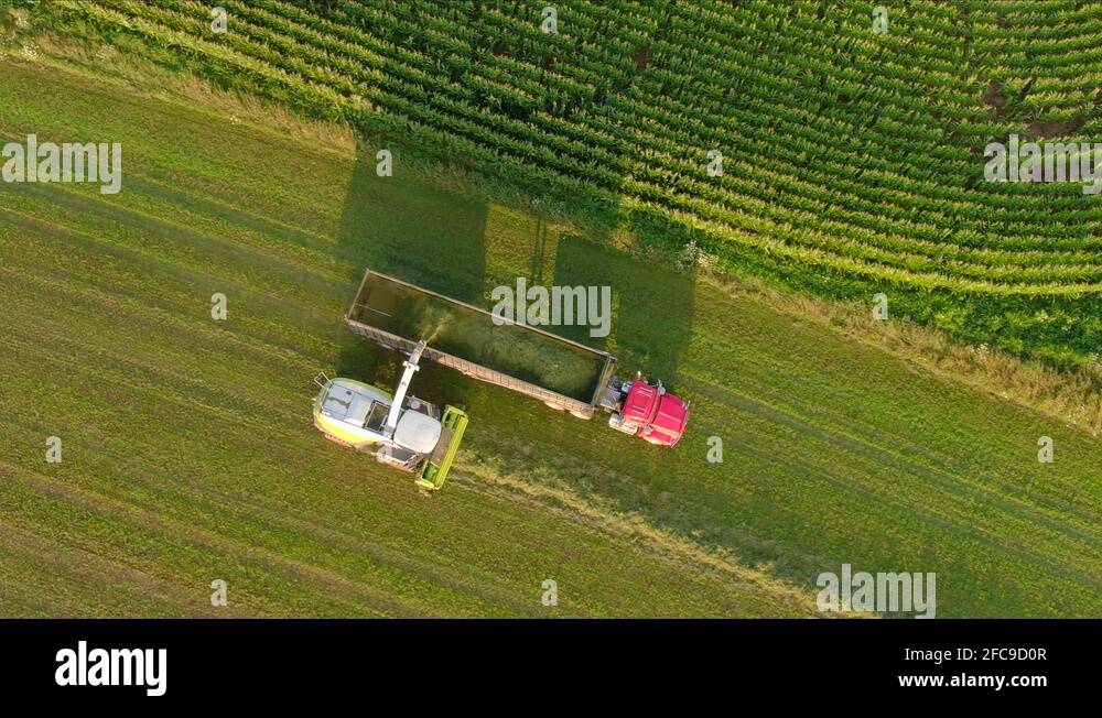 Farm Machine and semi truck harvesting crop from field Stock Video ...