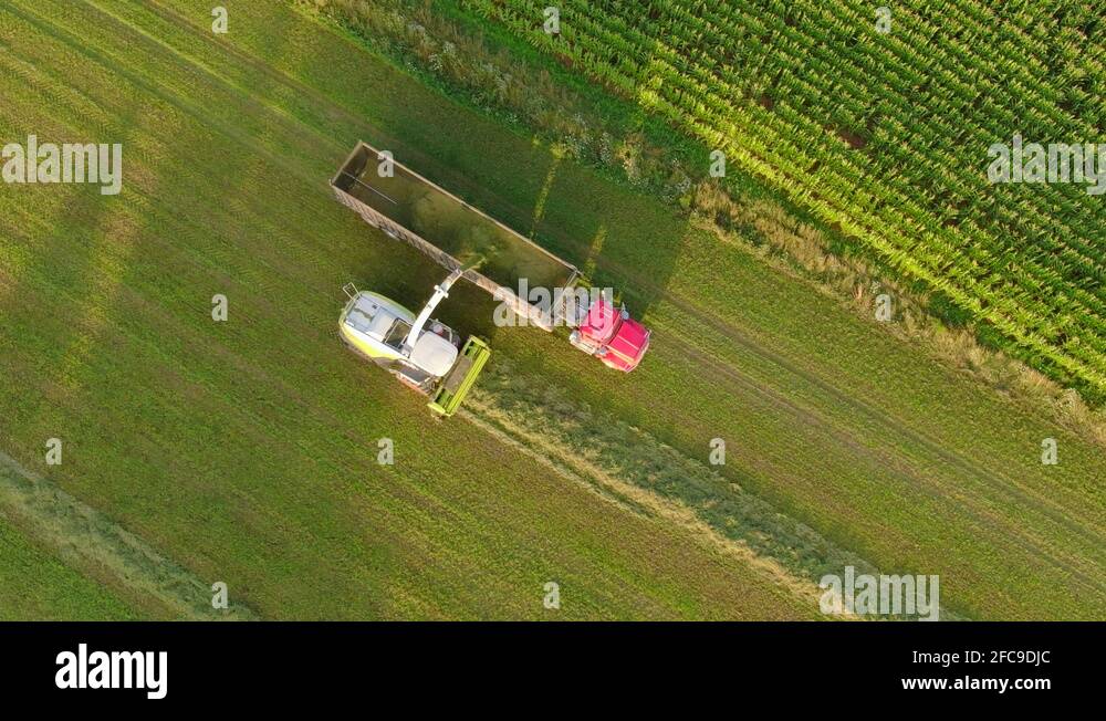 Farm Machine and semi truck harvesting crop from field Stock Video ...