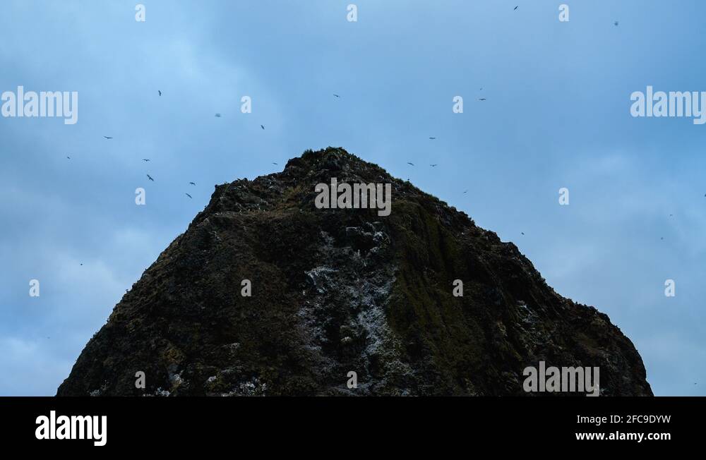 Birds fly around Haystack Rock, Cannon Beach, Oregon. Time lapse day of ...