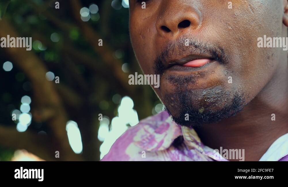 Wild mango Stock Videos & Footage - HD and 4K Video Clips - Alamy