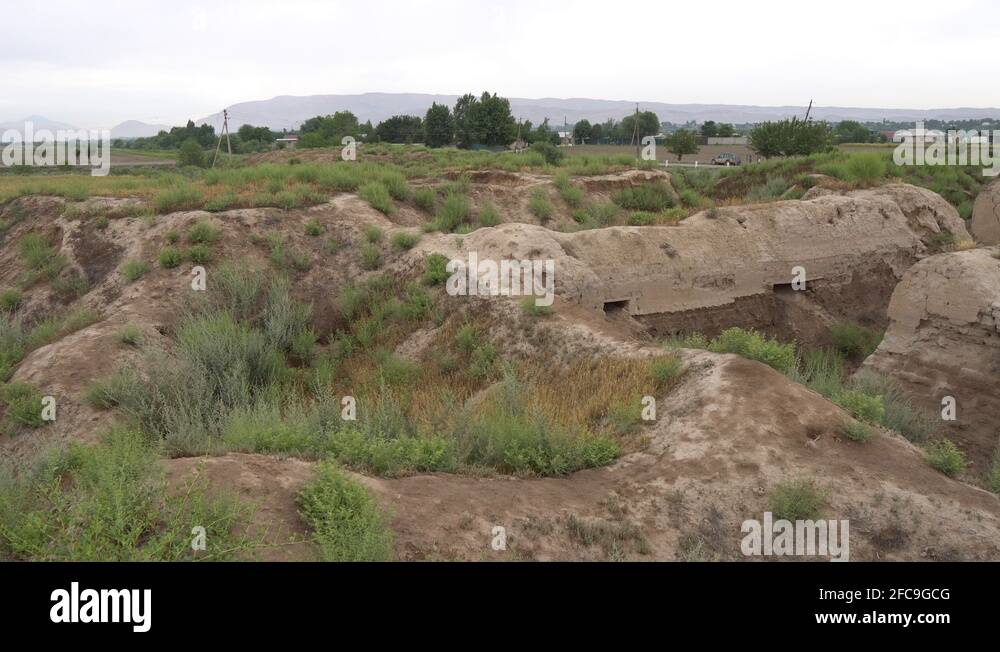 Tepa Stock Videos & Footage - HD and 4K Video Clips - Alamy