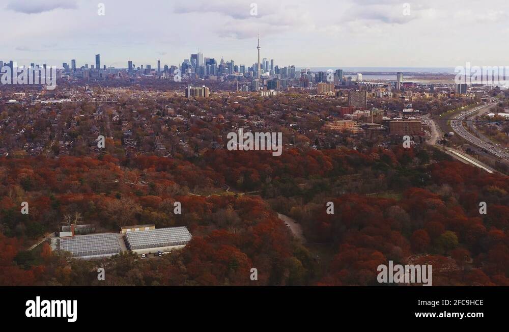 High park toronto fall Stock Videos & Footage - HD and 4K Video Clips ...