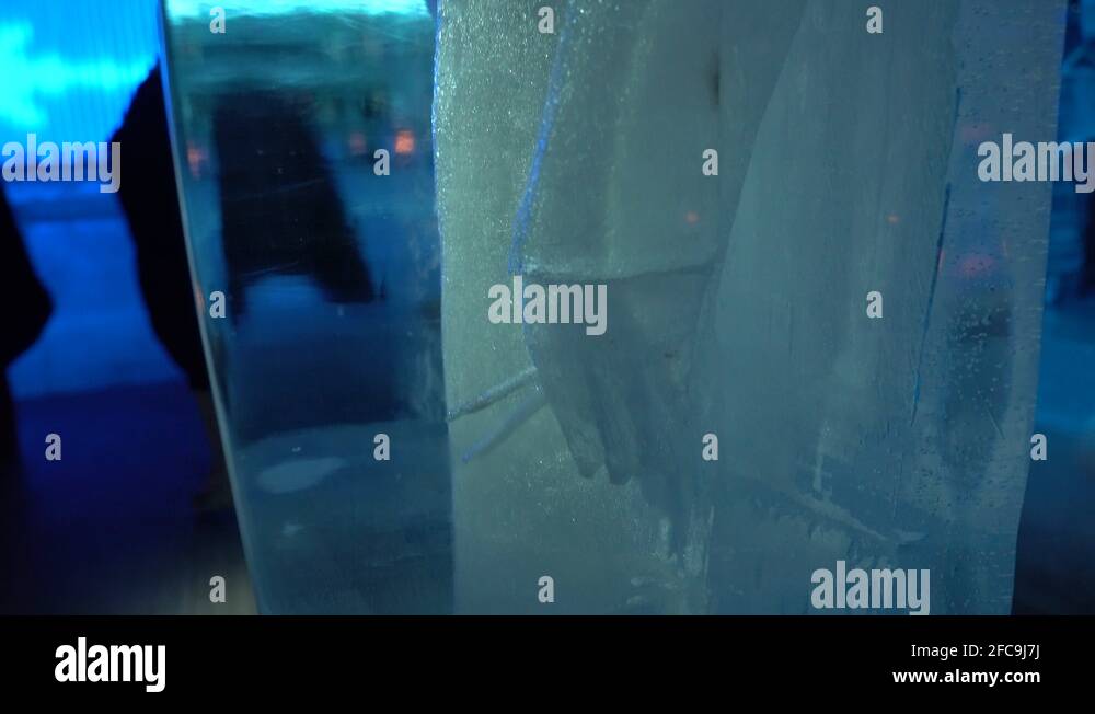 Overview of ice sculpture ice inside ice tilting camera up inside ice ...