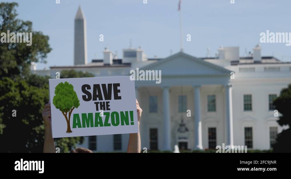 Amazon rainforest sign Stock Videos & Footage - HD and 4K Video Clips ...