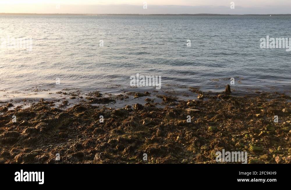 Isle of wight solent Stock Videos & Footage - HD and 4K Video Clips - Alamy