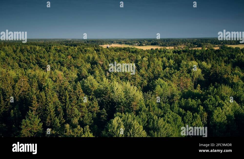 Tree farming Stock Videos & Footage - HD and 4K Video Clips - Alamy