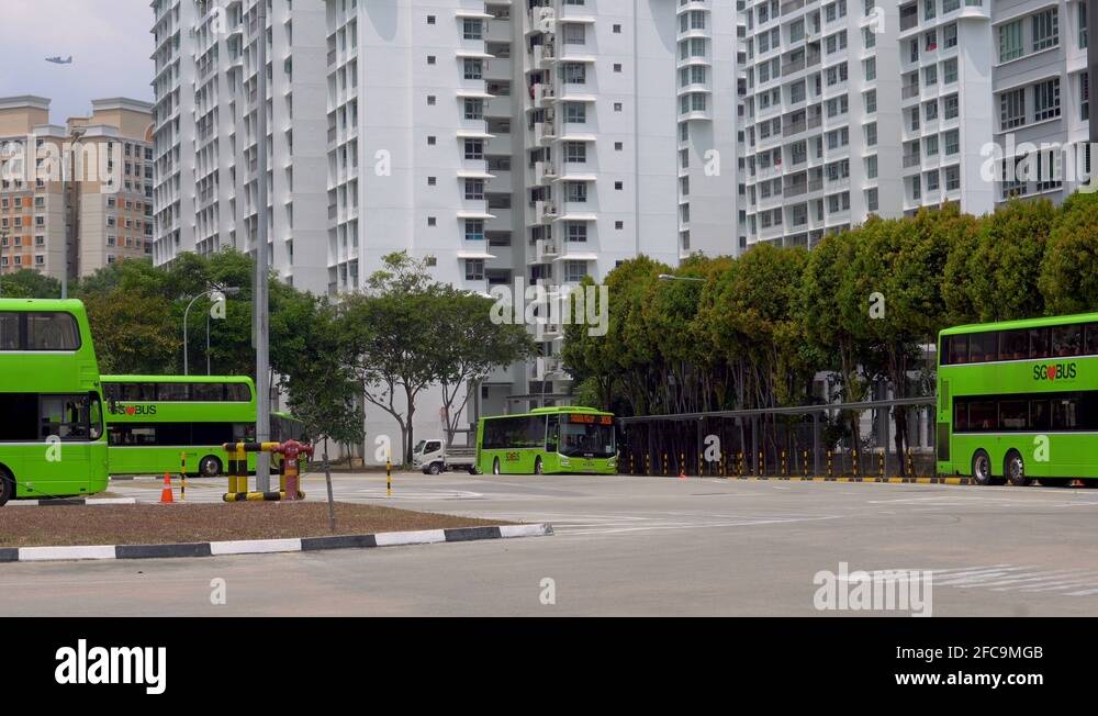Green Double Decker Buses Arriving at Depot in Singapore Stock Video ...