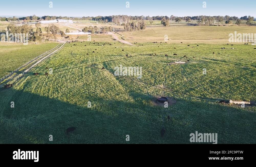 Pastoral industry Stock Videos & Footage - HD and 4K Video Clips - Alamy